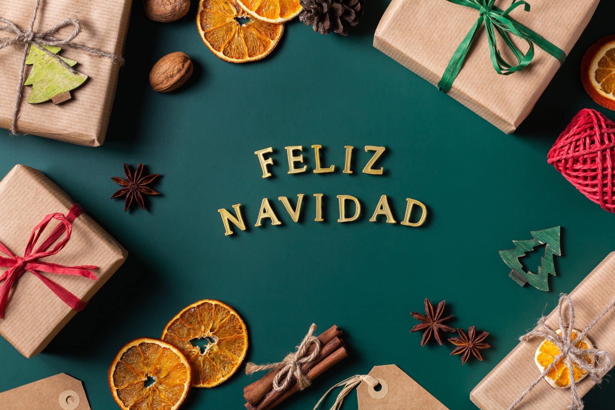 Guía completa del Bono Navidad IFE: ¿Qué es y cómo obtenerlo?
